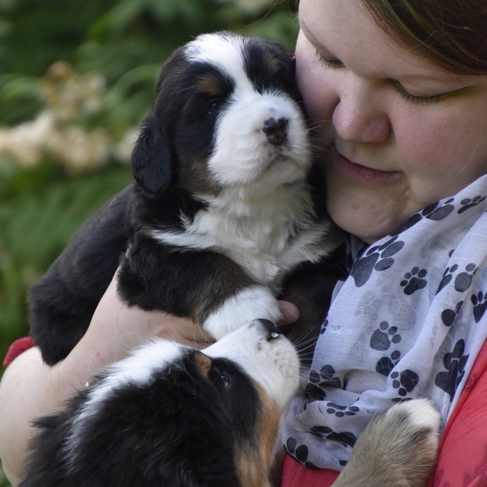 Esittely - Introduction :: Xantran